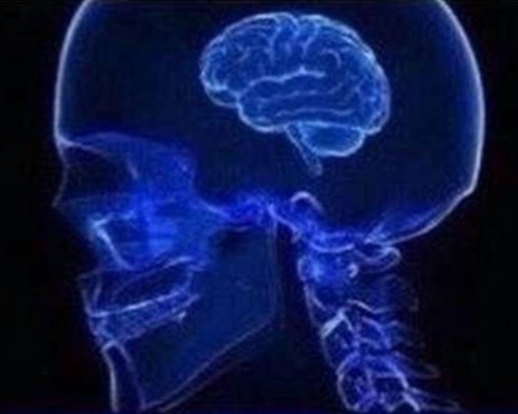 Expanding Brain Blank Template Imgflip