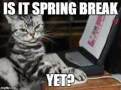 Cat computer - Imgflip