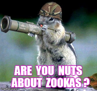 Bazooka Squirrel Meme - Imgflip