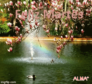 Animated GIF - Imgflip