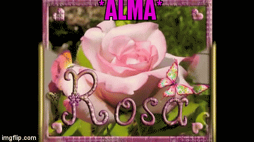 Animated GIF - Imgflip