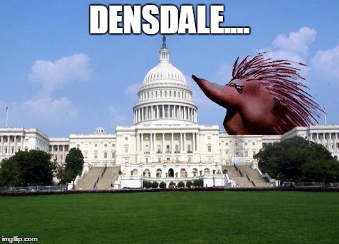 Densdale - Imgflip