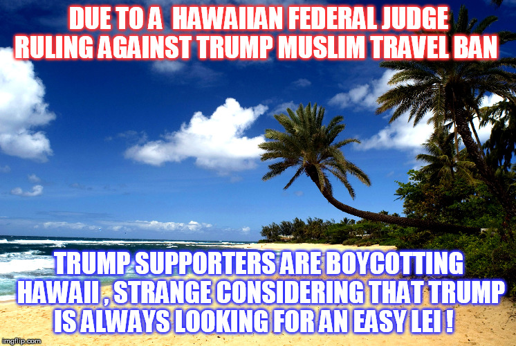 Hawaiian Memes