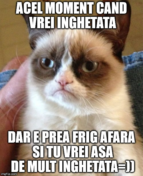 Grumpy Cat Meme - Imgflip