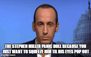 stephen miller - Imgflip