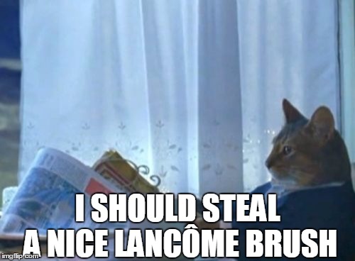 I Should Buy A Boat Cat Meme - Imgflip