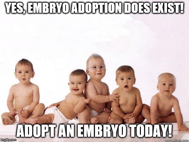 many babies - Imgflip