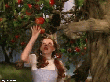 Angry Trees - Imgflip