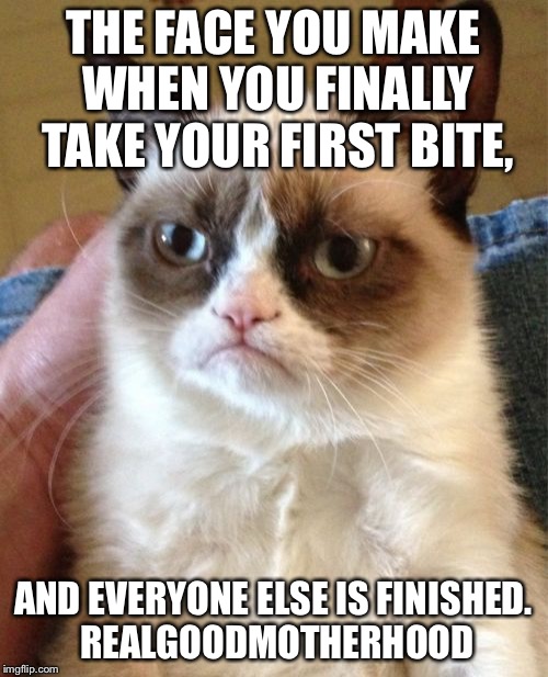 Grumpy Cat Meme - Imgflip