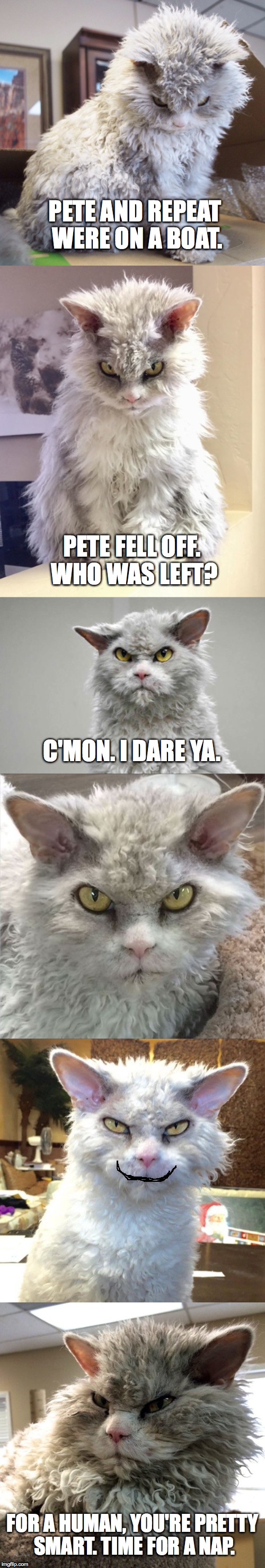 Pompous Albert Repeats A Repeat (cred to Jying for pointing me towards ...