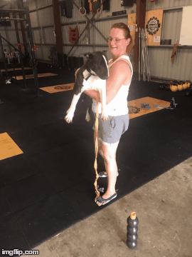 Happy Does Crossfit - Imgflip