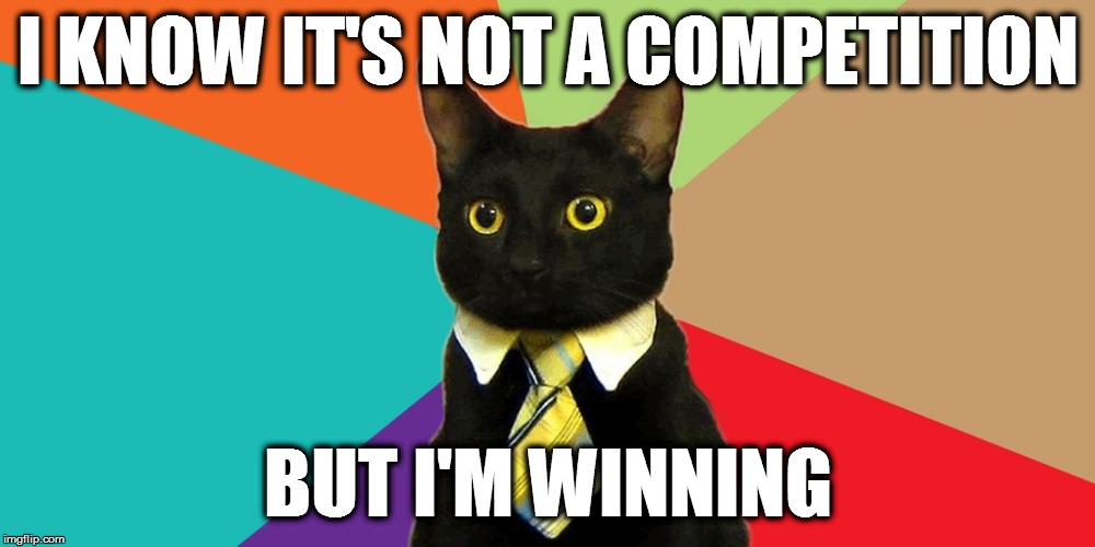 Window Washer vs Cat - Imgflip