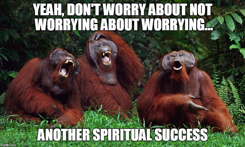 laughing orangutans - Imgflip