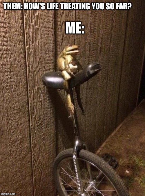 Image Tagged In How s Life Treating You Imgflip