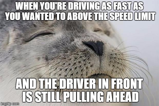 Satisfied Seal Meme - Imgflip