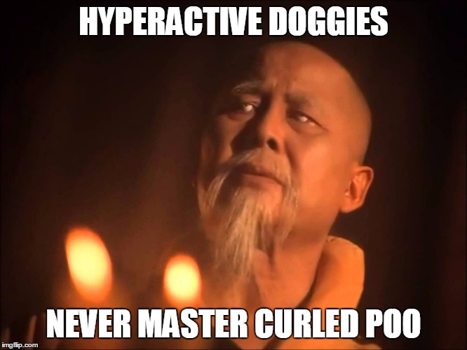 I never quite had the sphincter control - Imgflip