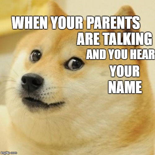 Doge Meme - Imgflip