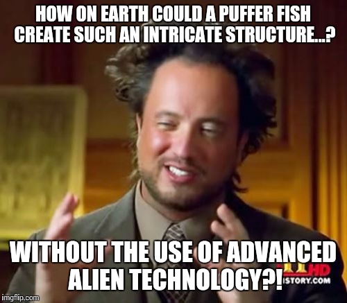 Ancient Aliens Meme - Imgflip