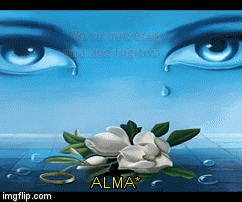 Animated GIF - Imgflip