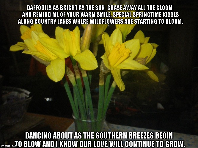Daffodil Day Memes