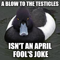Angry Advice Mallard - Imgflip