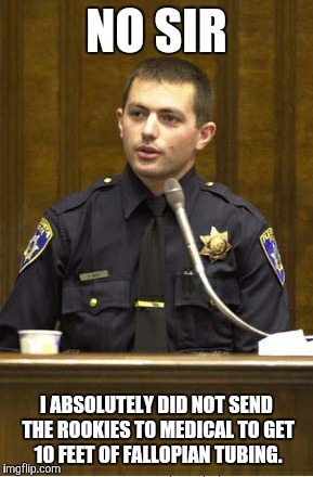 Police Officer Testifying Meme - Imgflip