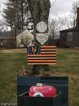 Apple Tree - Imgflip