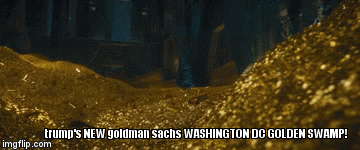 trump's golden dc swamp - Imgflip