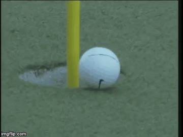 Animated GIF - Imgflip