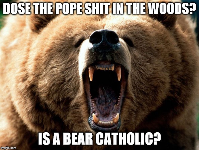 Image tagged in aintthissomebearshit - Imgflip