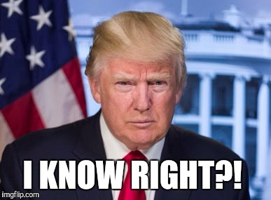 Philosoraptor Meme - Imgflip