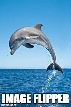 The Real IMG Flipper! - Imgflip