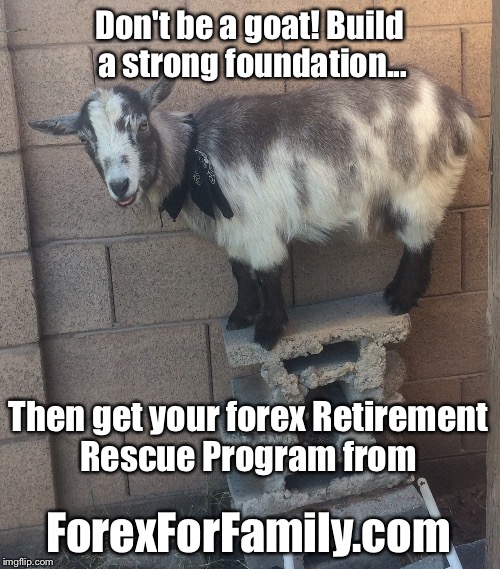 Build a strong foundation - Imgflip