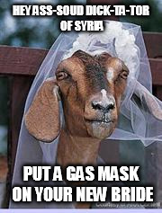 Muslim Goat Bride - Imgflip