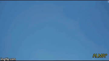 Animated GIF - Imgflip