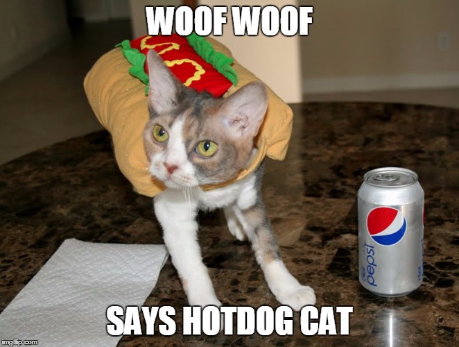 Hot dog week! - Imgflip