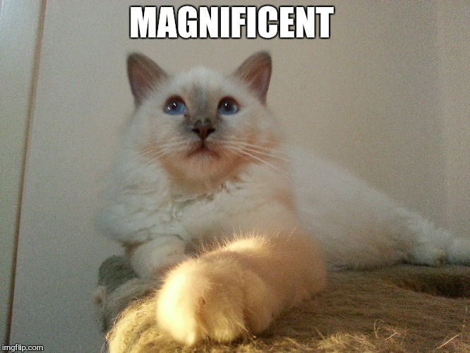 I agree to disagree - Imgflip