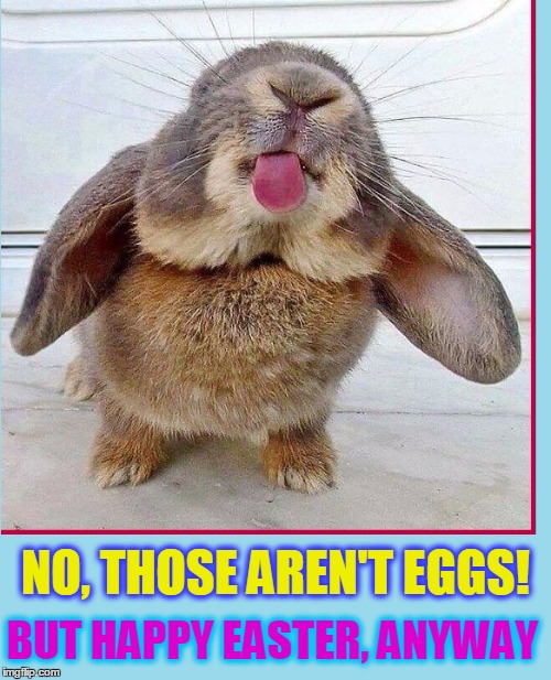 The Truth About Easter Bunnies Imgflip