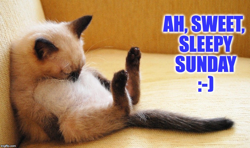 Lo-o-o-o-o-ng Week! - Imgflip