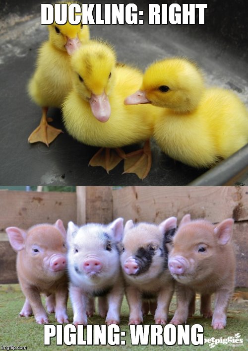 Philosoraptor Meme - Imgflip