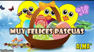 Animated GIF - Imgflip