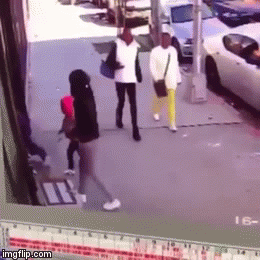 dog and cat tether ball - Imgflip