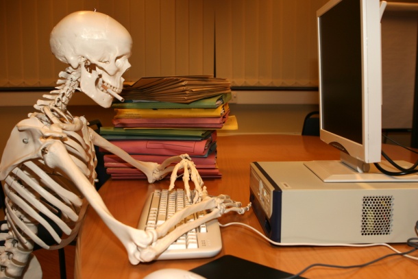  skeleton Meme Templates Imgflip