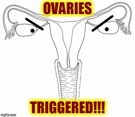 Ovaries Meme