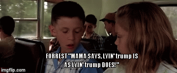 forrest gump on trump lies - Imgflip