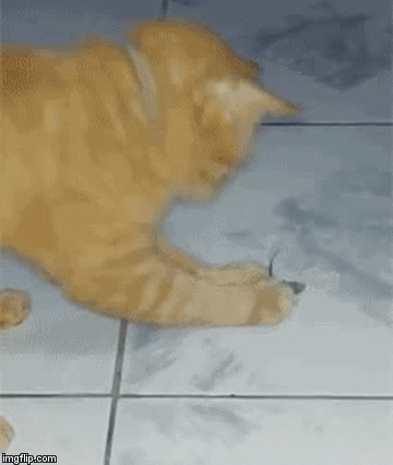 Smart mouse - Imgflip