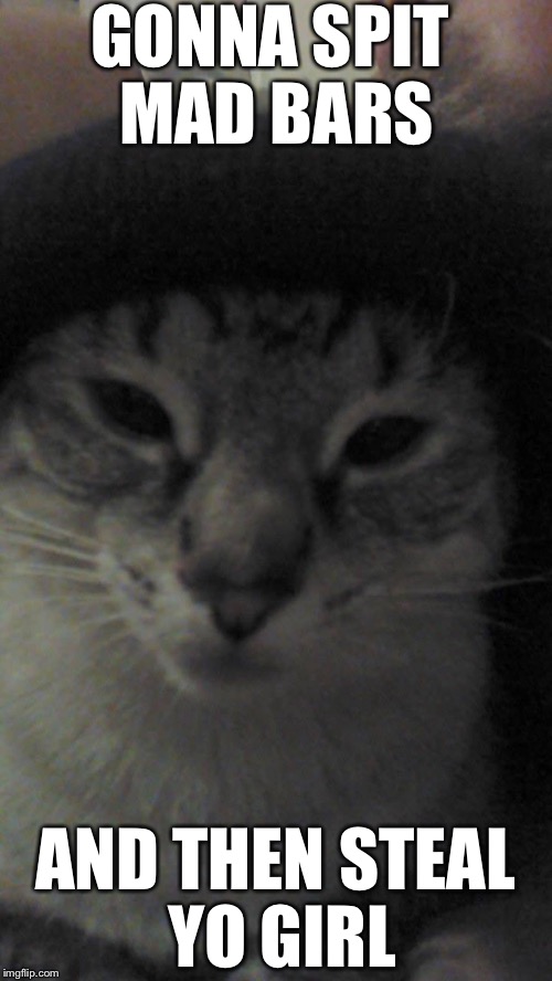 Image tagged in tonka-san - Imgflip