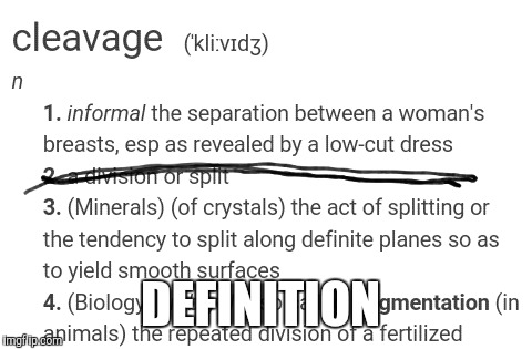 Define Cleavage - Imgflip