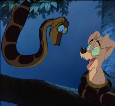 kaa Blank Template - Imgflip