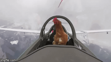 Who wants flied chicken? - Imgflip